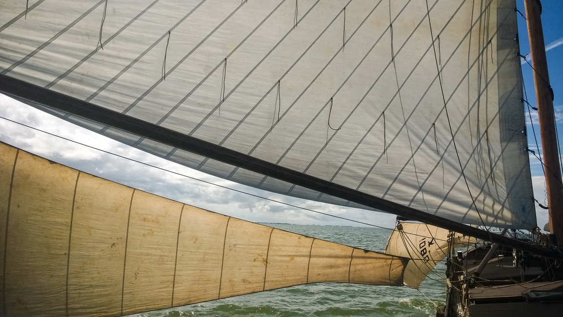 Duuk Baten (@duuk@mastodon.green) - Mastodon.green