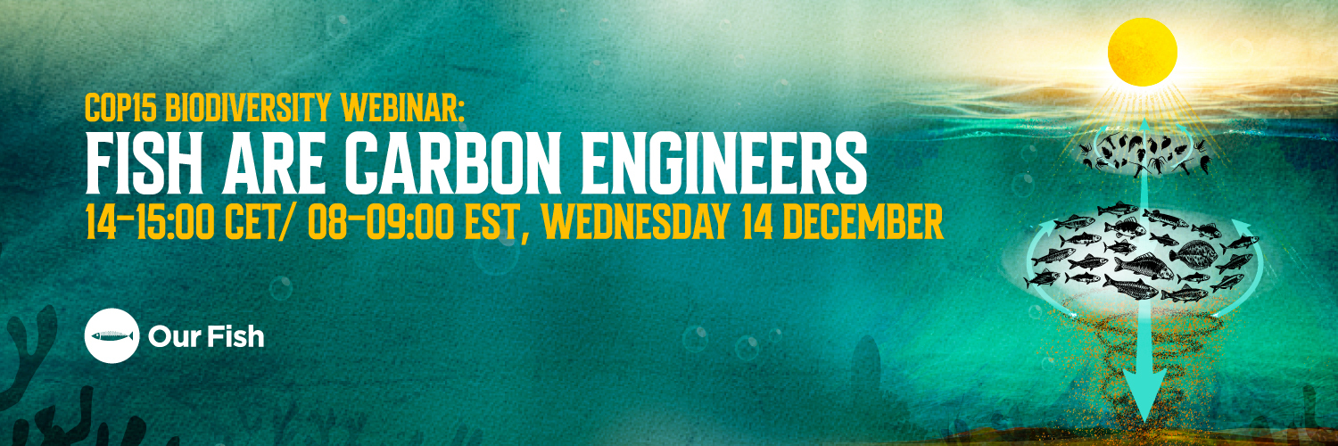 Our Fish (@ourfish@mastodon.green) - Mastodon.green