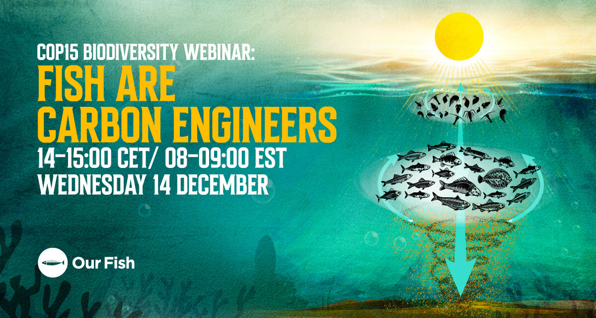 Our Fish (@ourfish@mastodon.green) - Mastodon.green