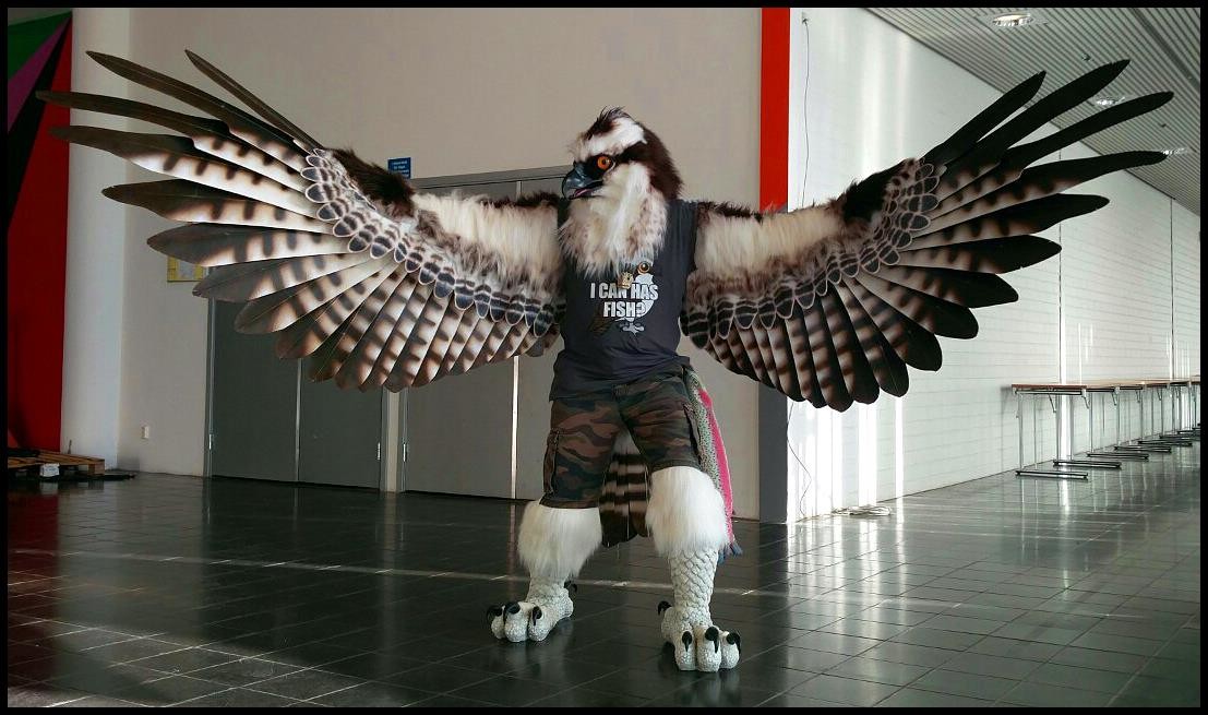 Lett Osprey (@panduck@mastodon.green) - Mastodon.green