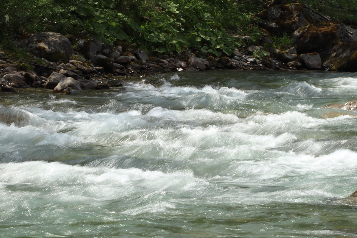 MangoWave | Raphael L Genovese (@MangoWave@mastodon.green) - Mastodon.green