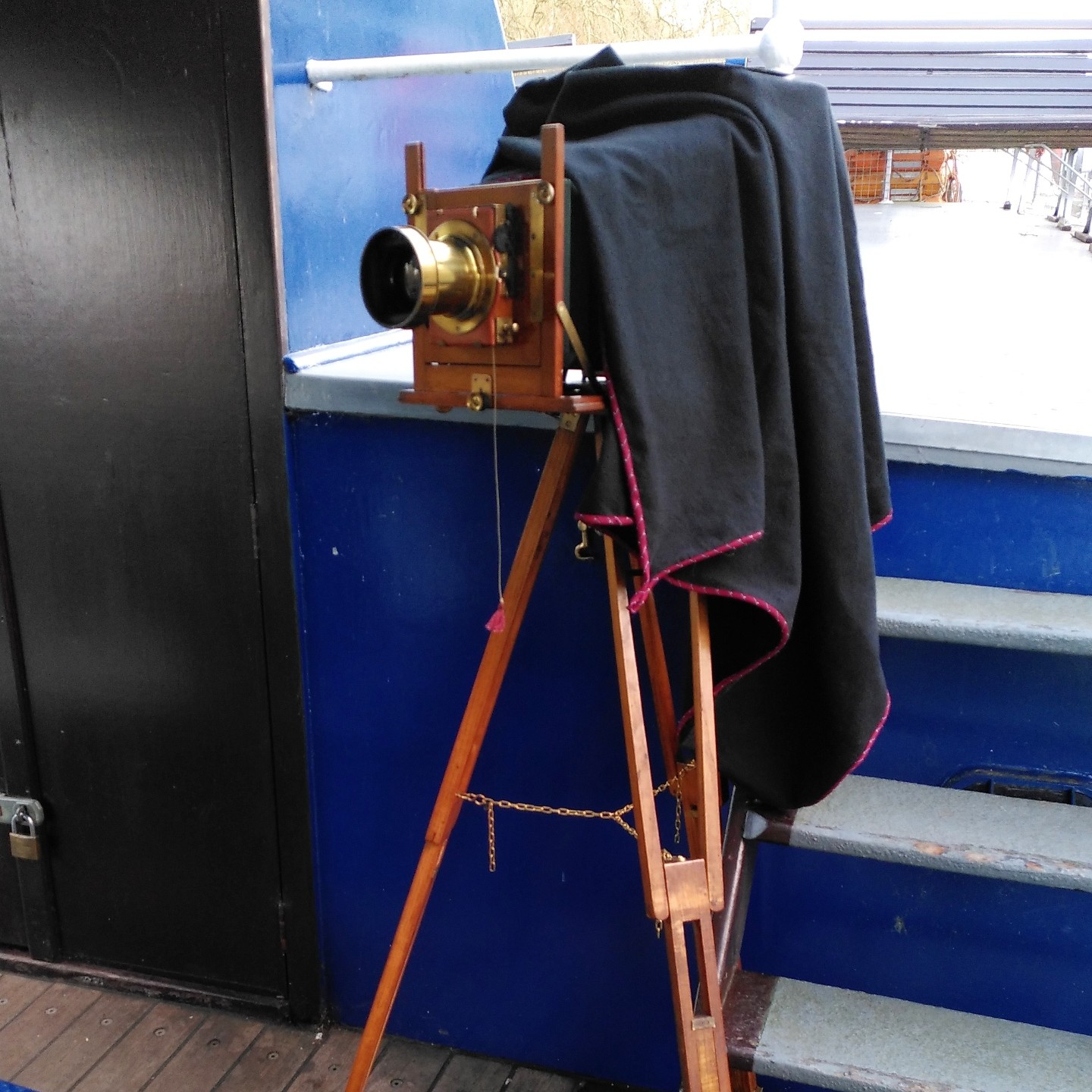 Wendy_Stone (@Wendy_Stone@mastodon.green) - Mastodon.green