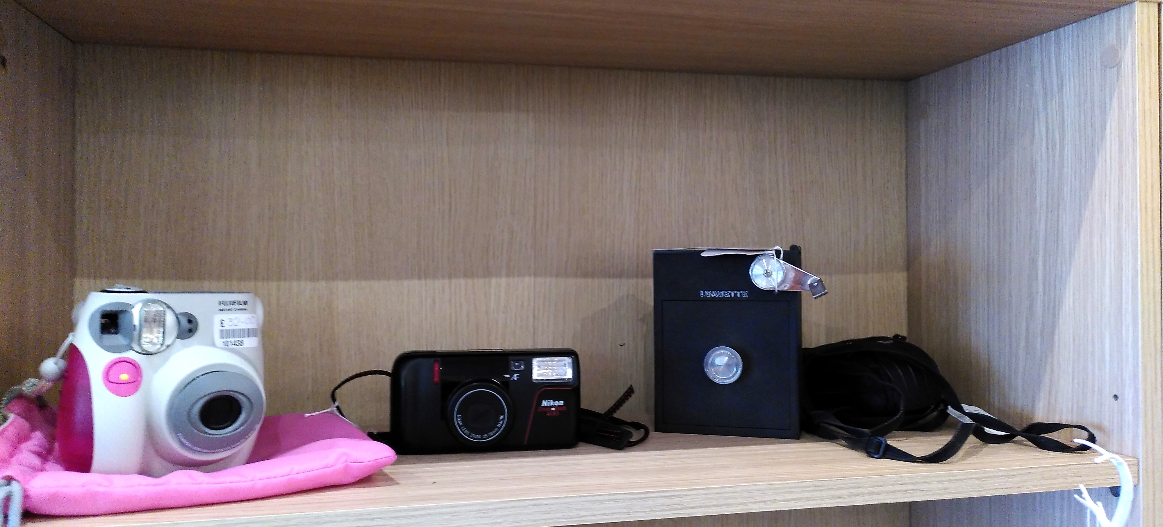 Wendy_Stone (@Wendy_Stone@mastodon.green) - Mastodon.green